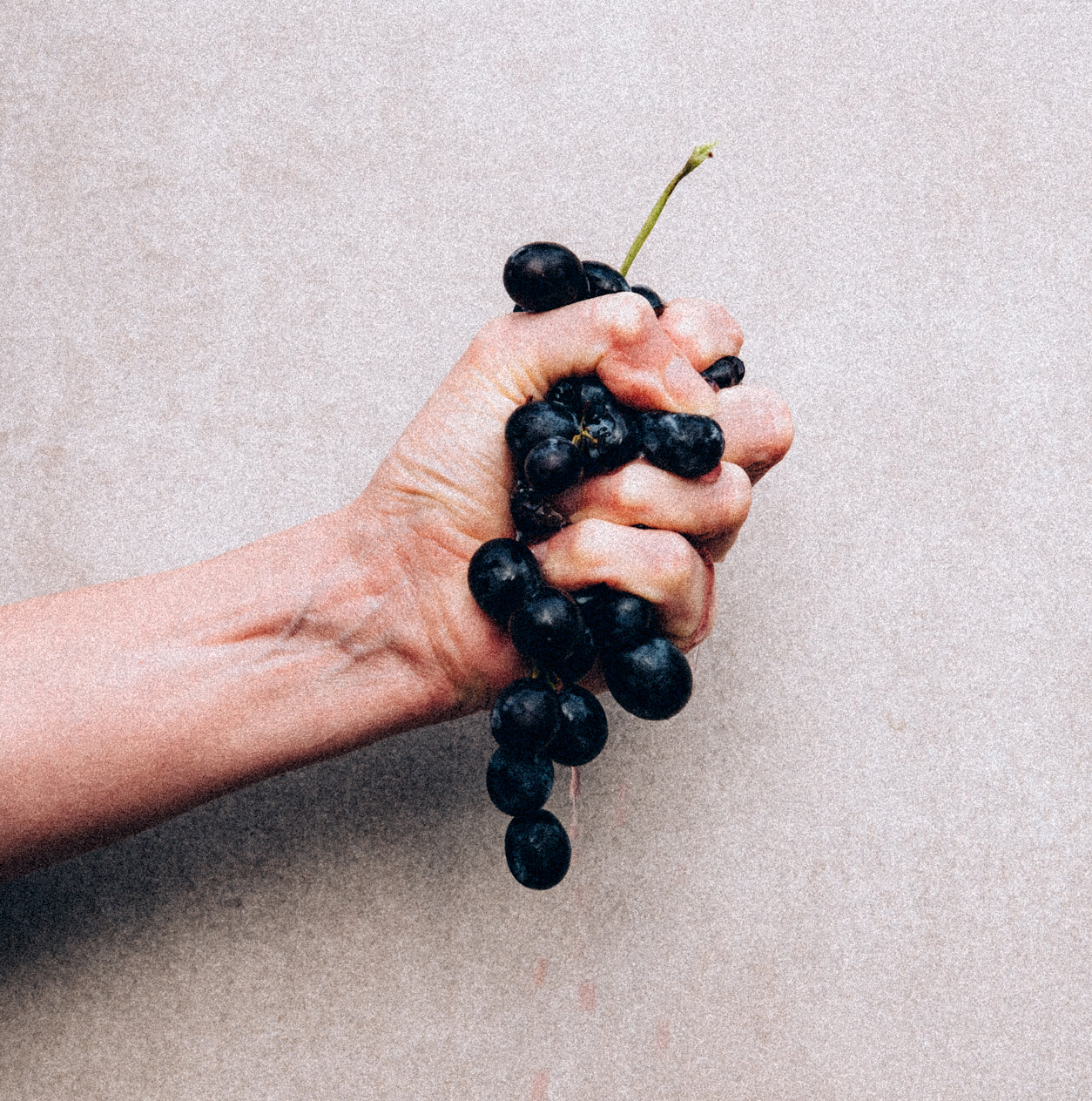 Brix (symbol °Bx) – DEFY